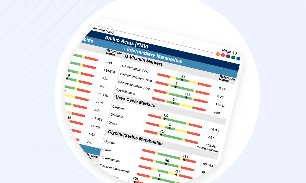 Interpreting Genova NutrEval + Protocols that Work | Kalish Institute