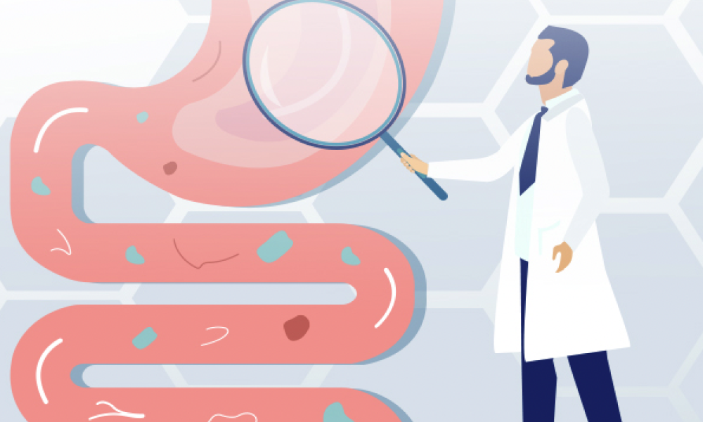 Interpreting GI-MAP from Diagnostic Solutions | Kalish Institute
